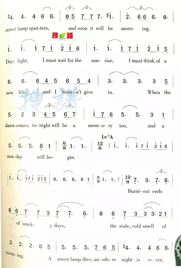 Memory简谱 虫虫乐谱